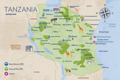 Comment organiser un safari en Tanzanie ? Guide complet 2023
